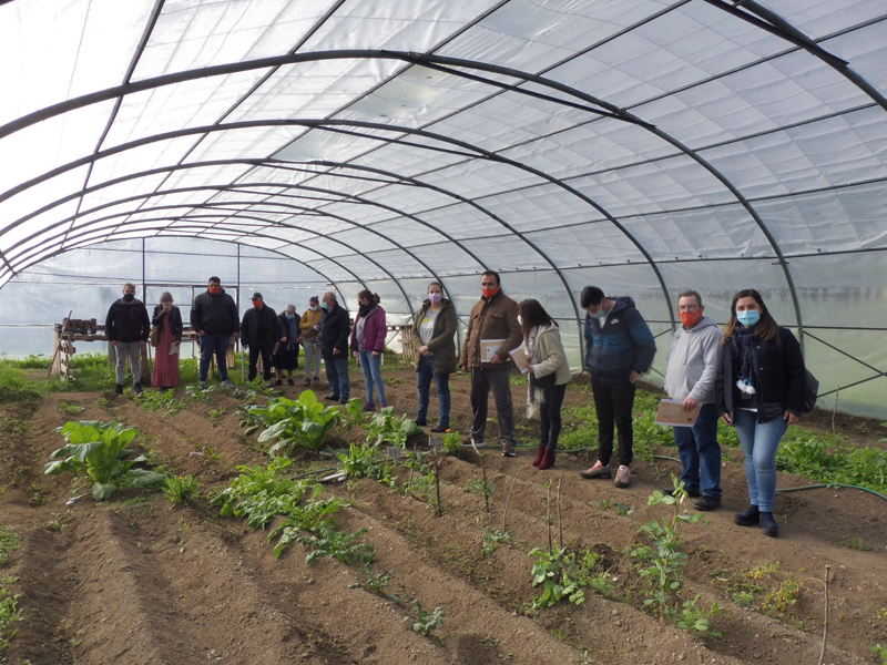 Clausura Acción Formativa De Actividades Auxiliares En Agricultura