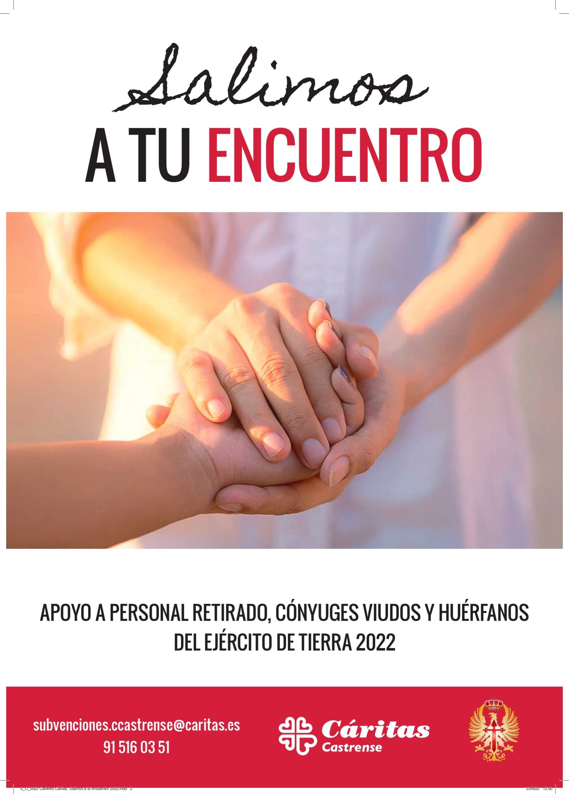 Subvención para actividades de acción social concedida por la DIAPER del Ejército de Tierra año ...