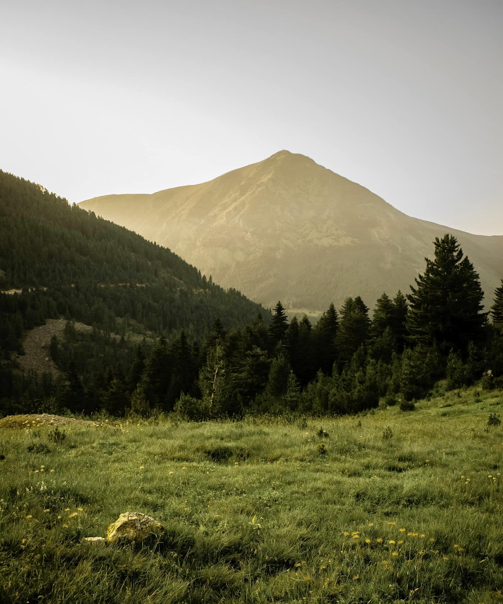 Ecoloxía integral, que podemos facer? - Cáritas Mondoñedo-Ferrol